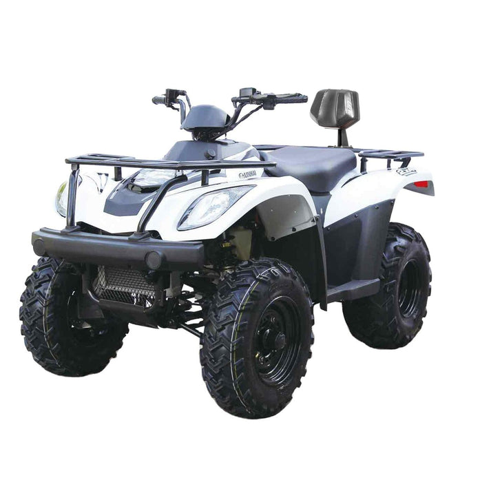 ATV300-B Linhai – Kstore